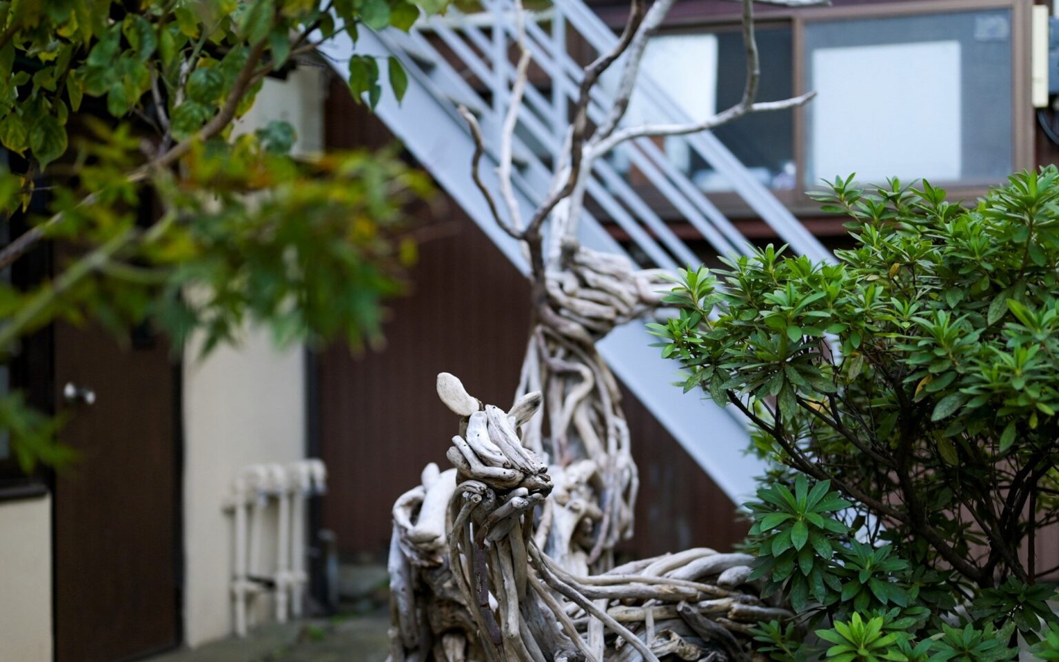 空き家を活用したシェアハウスの事例まとめ｜シェアハウス運営に興味がある方必見！