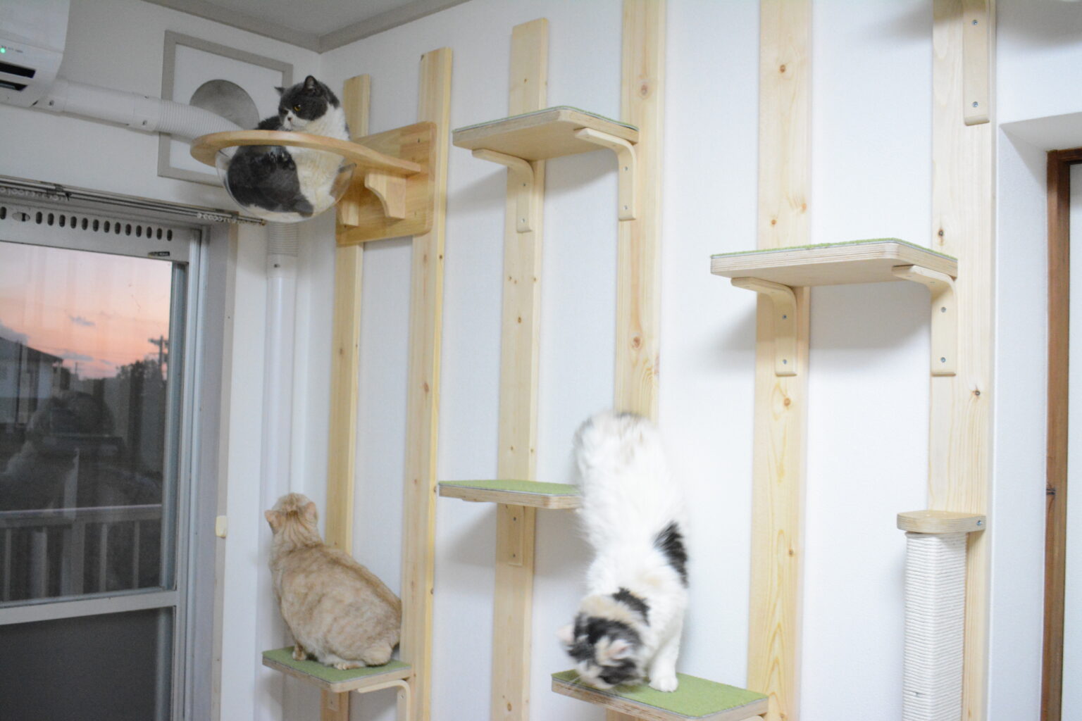 シェアハウスとは？宮城県内のおすすめシェアハウス12選とともに解説！ | 1日から入れるシェアハウス「Roopt」-ループト-