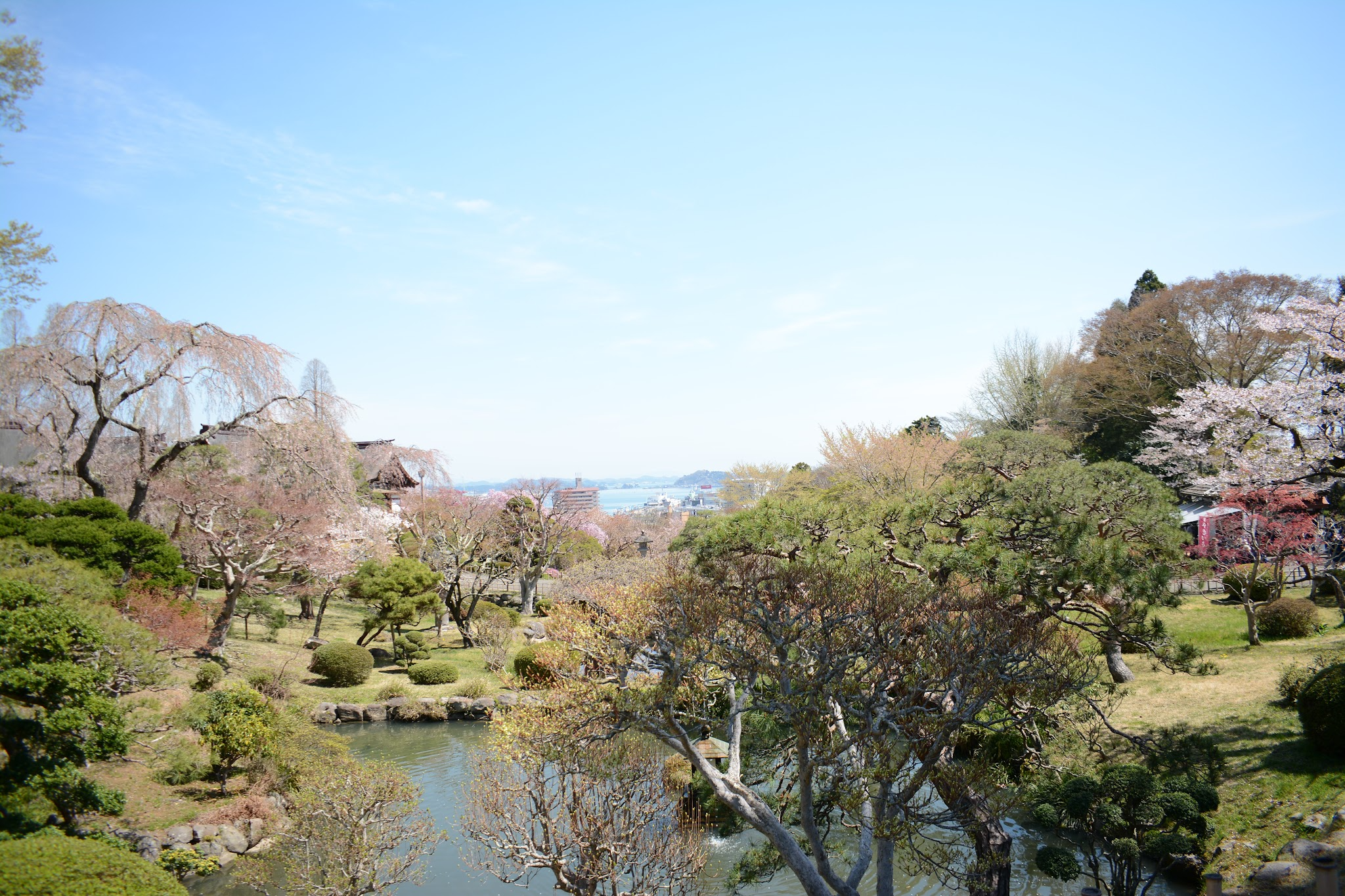 【桜】車で行ける宮城県のお花見スポット6選〜塩竈市・松島町・東松島市・石巻市〜 | 1日から入れるシェアハウス「Roopt」-ループト-